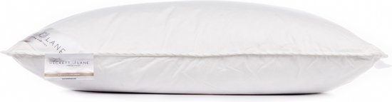 Heckettlane Hoofdkussen - Slaapkussen met Veren en Dons - Koel kussen ...