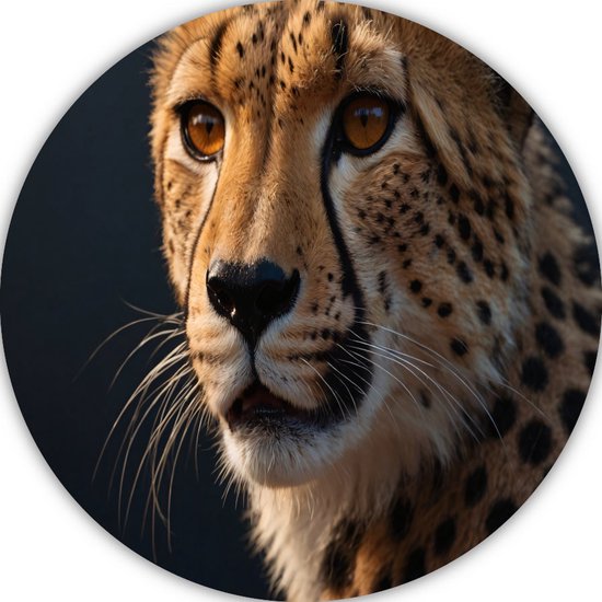 Cheetah wandschalen - Dier muurcirkels - Wandbord Vacht - Wanddecoratie ...