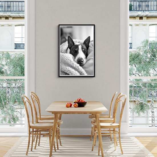 Bull Poster - Terrier - Hond - Terrier - Dieren - Hondenras - Creatieve ...