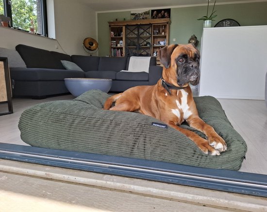 Dog's Companion Hondenkussen / Hondenbed - XL - 140 x 95 cm - Hunting ...