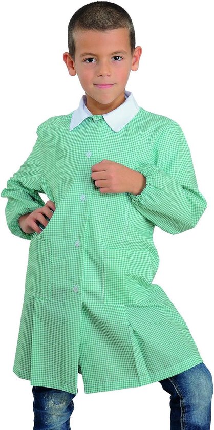 Groen geruit schort - maat 4 - 26 inch | bol