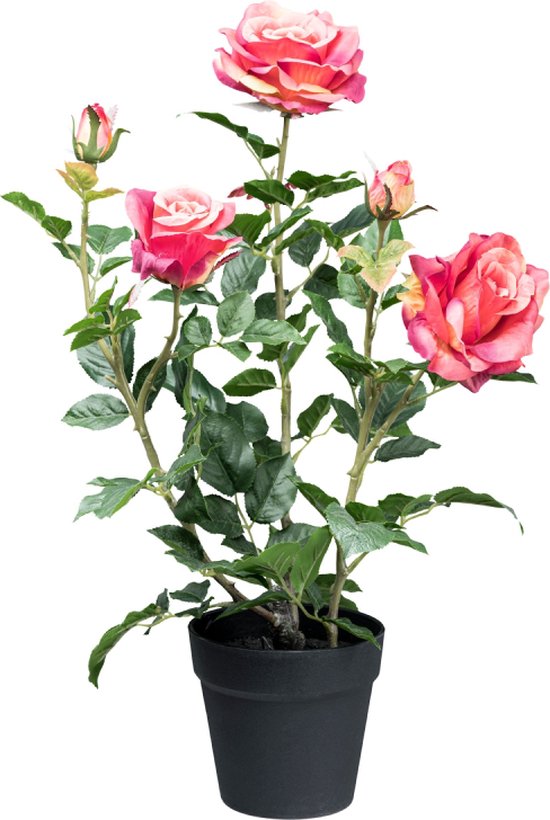 Kunstplanten - kunstplant - kunstbloemen - rozen - roos - kunst bloemen ...
