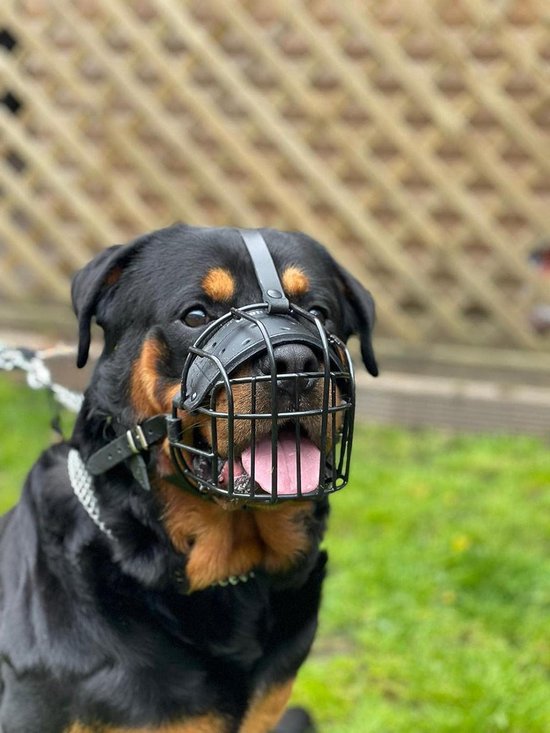 Wire Metalen Snuit Mand Hond Muilkorf voor Rottweiler Mastiff Golden ...