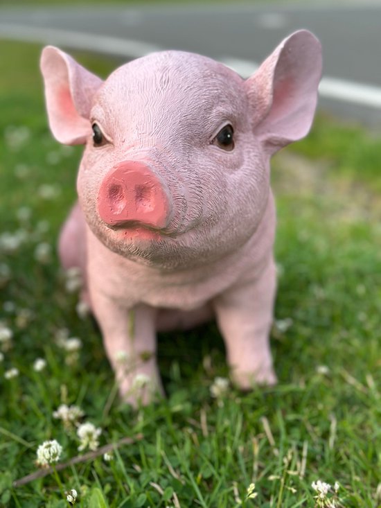 Goodyz- Boerderijdieren - Big - Biggetjes - Diverse modellen - Roze - Speels - zittend | bol