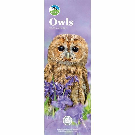RSPB Uilen Slimline Kalender 2025 | bol