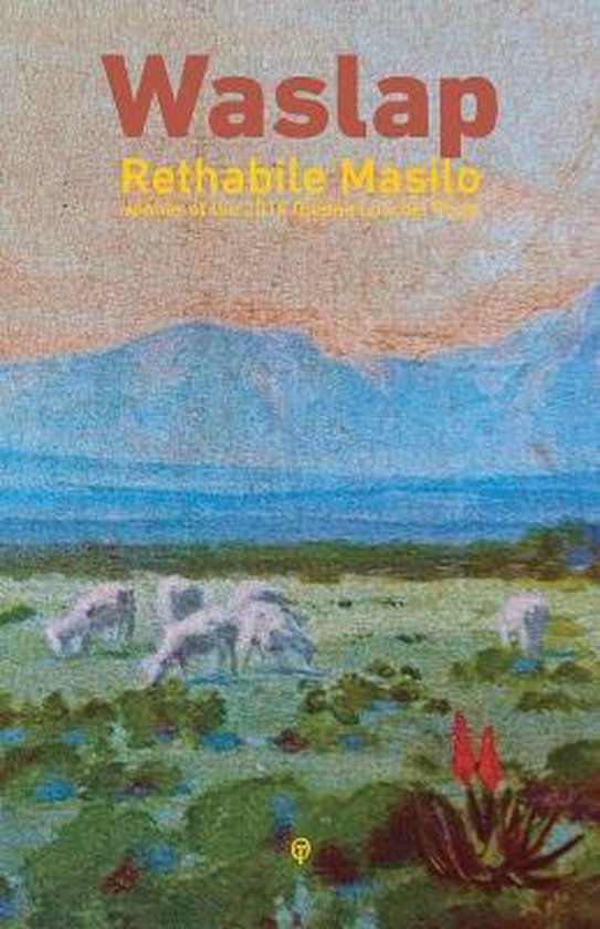 Waslap, Rethabile Masilo | 9780992723859 | Boeken | bol.com