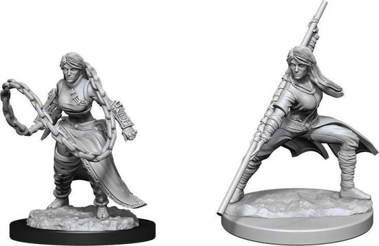 Dungeons and Dragons: Nolzur's Marvelous Minatures - Human Monk Female ...
