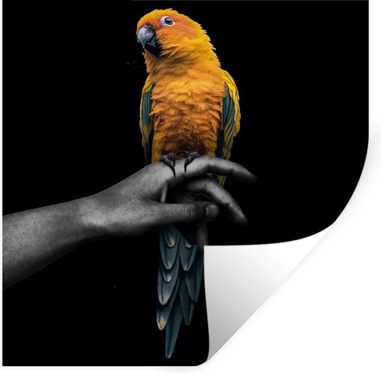 Muurstickers - Sticker Folie - Vogel - Papegaai - Hand - Geel - 50x50 ...