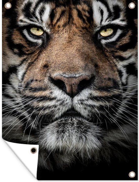 Tuinposter - Tuindoek - Tuinposters buiten - Tijger - Huid - Portret ...