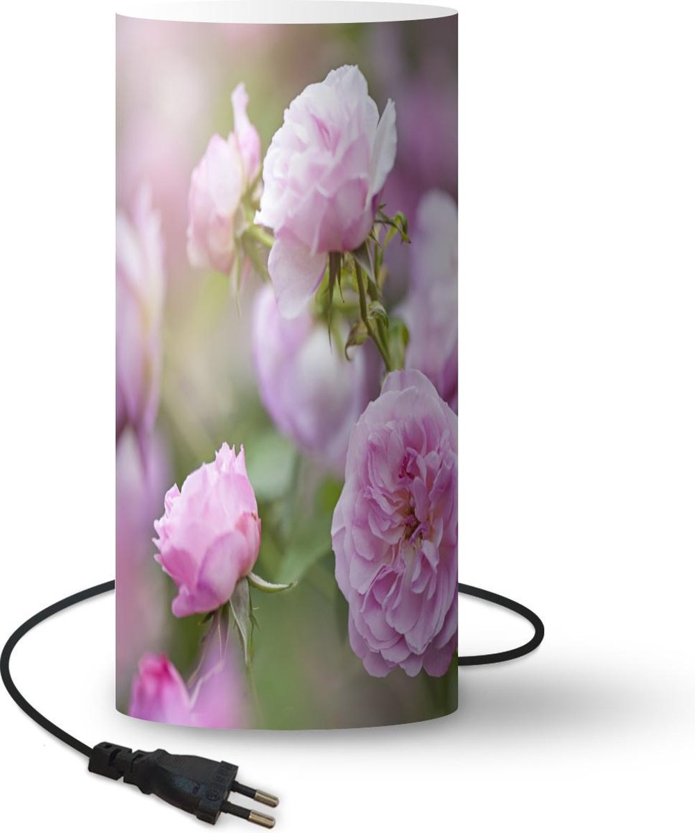 Lampe Rose rose - Les Plantes de roses roses poussent dans la nature ...