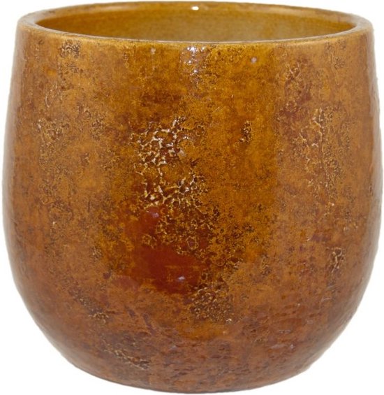 Gele Pot Muro | bol.com
