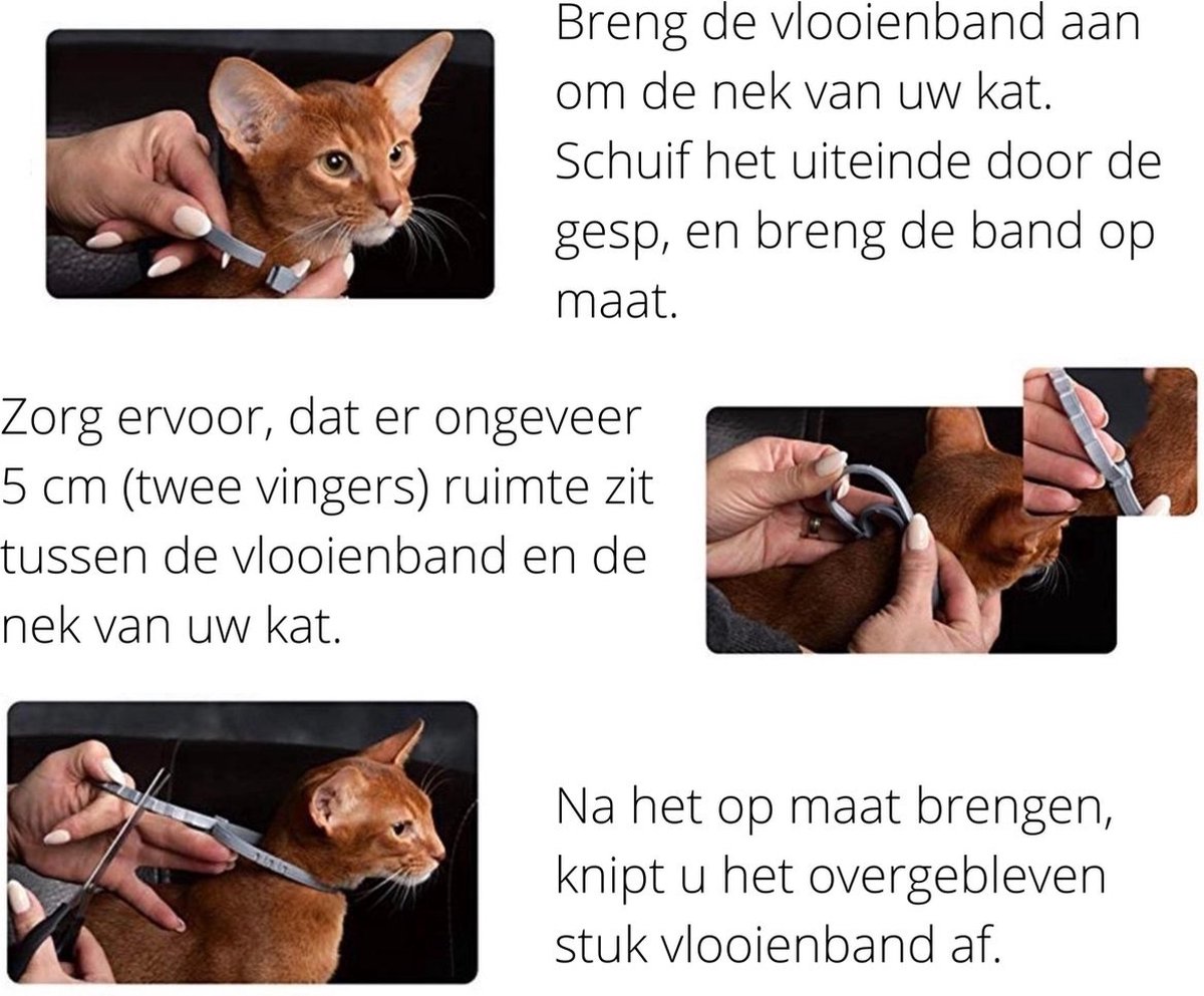 Vlooienband Kat | Vlooien | Luizen | Teken | Mijten | 8 maanden ...