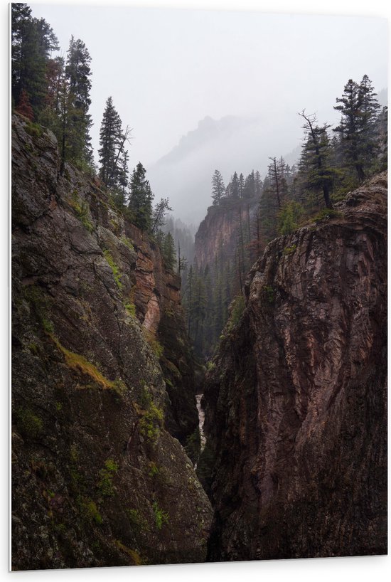 PVC Schuimplaat- Berglandschap met Bossen - 80x120 cm Foto op PVC ...