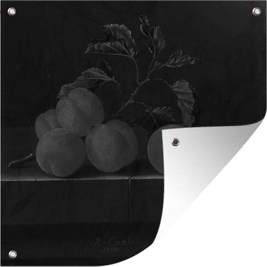 Tuin poster Stilleven met vijf abrikozen - schilderij van Adriaen ...