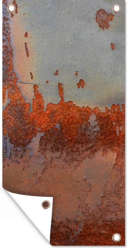 Affiche de clôture Rouille - Oranje - Rose - 100x200 cm - Toile de ...