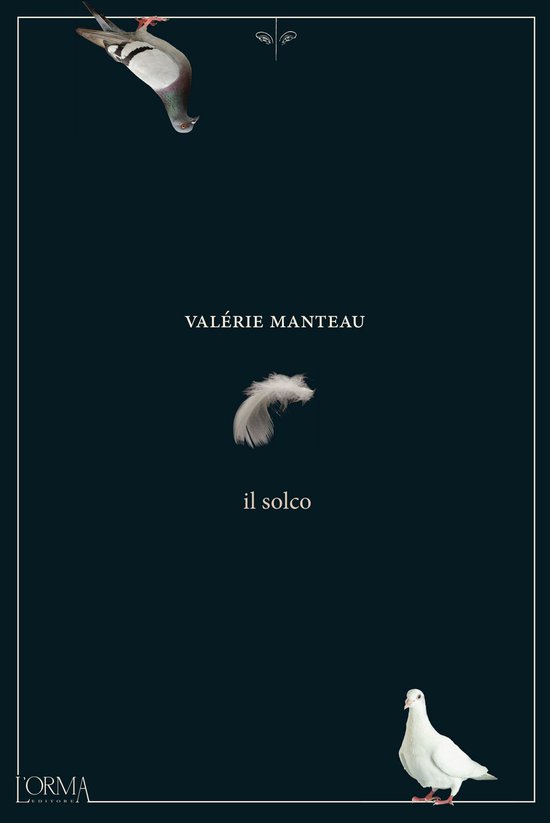 Il solco (ebook) | 9788899793944 | Boeken | bol.com