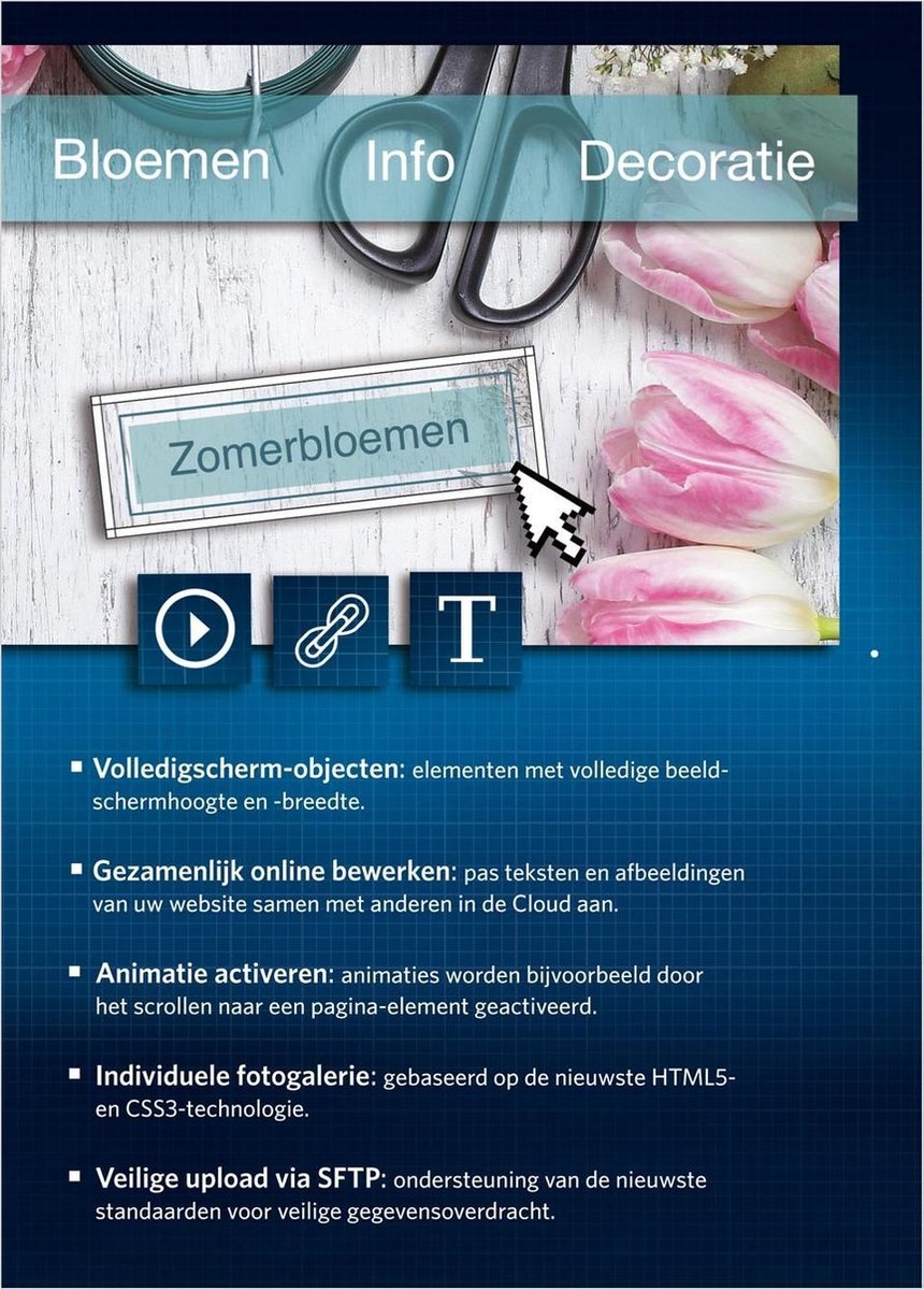 Magix Web Designer 11 Premium - Nederlands / Windows | bol