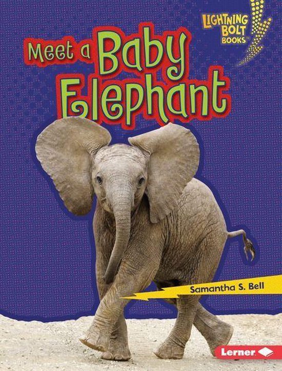 Lightning Bolt Books ® — Baby African Animals - Meet a Baby Elephant ...