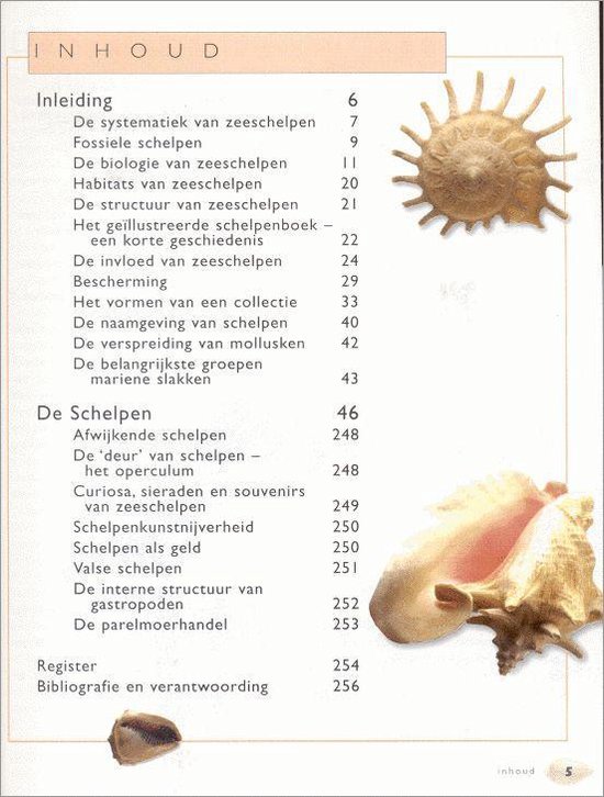 Het Schelpen Handboek, Kenneth Wye | 9789061139805 | Boeken | bol