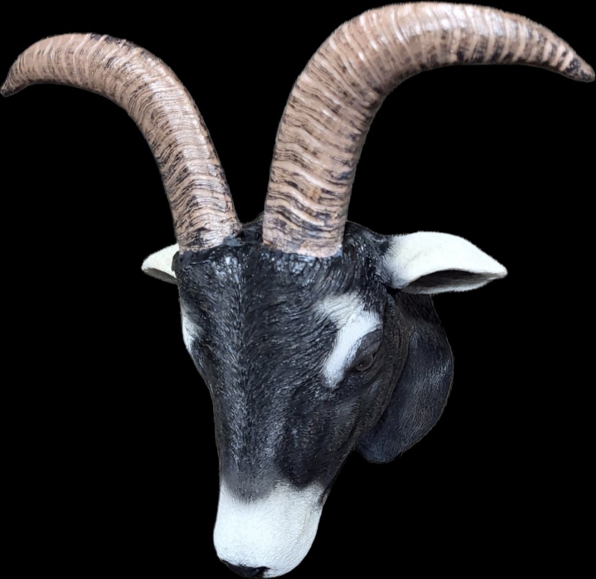 Geitenkop Bok met Horens Sik Wanddecoratie 25 cm hoog Binnen en Buiten ...