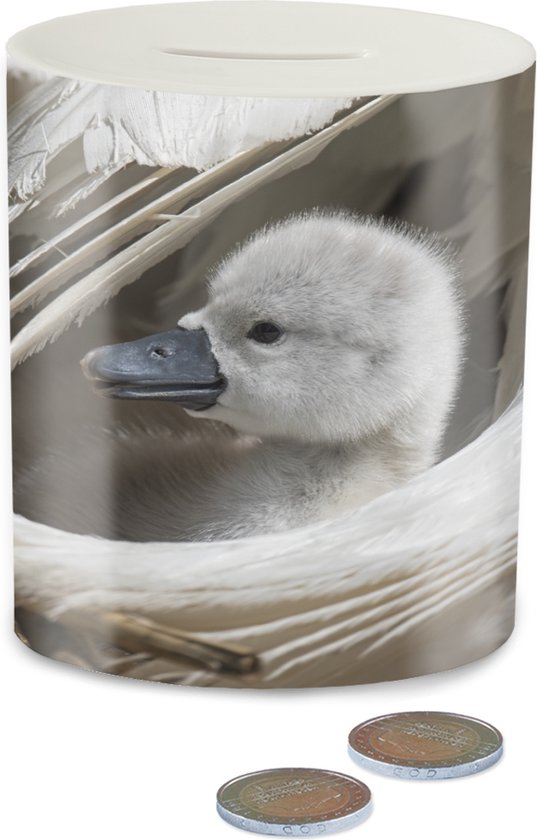 Spaarpot - Spaarblik - Nest - Baby - Zwaan - Spaarpotten - Volwassenen ...