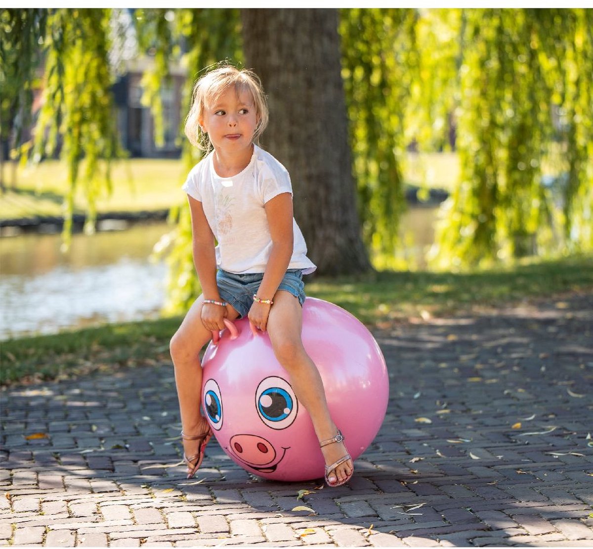 Vdm Skippybal Varken 55 Cm Roze | bol.com