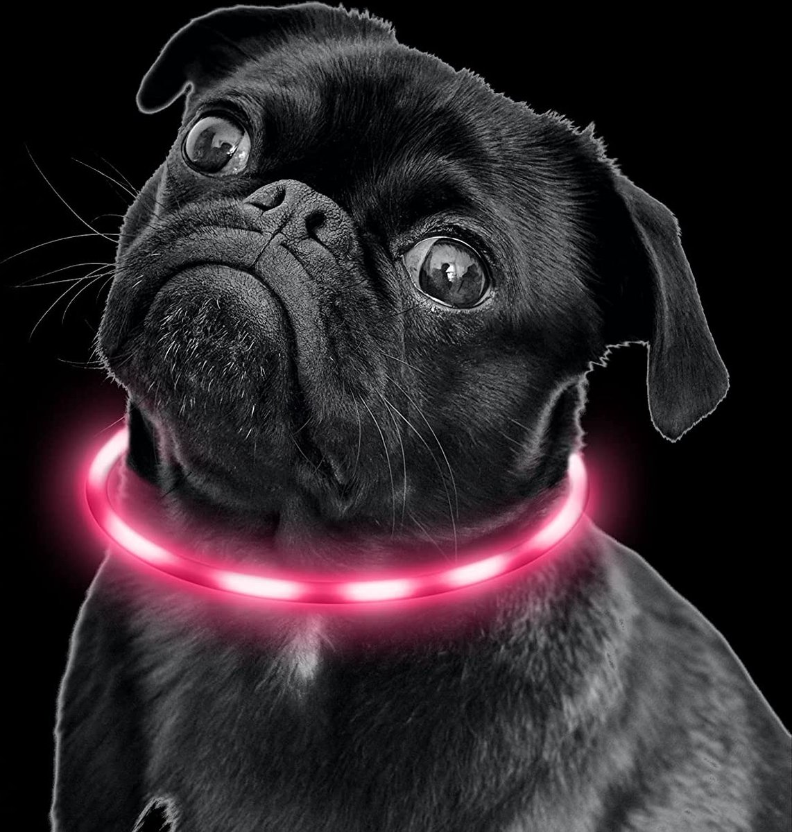 Doodadeals® | Lichtgevende Halsband Hond | Honden Lampje Halsband | LED ...