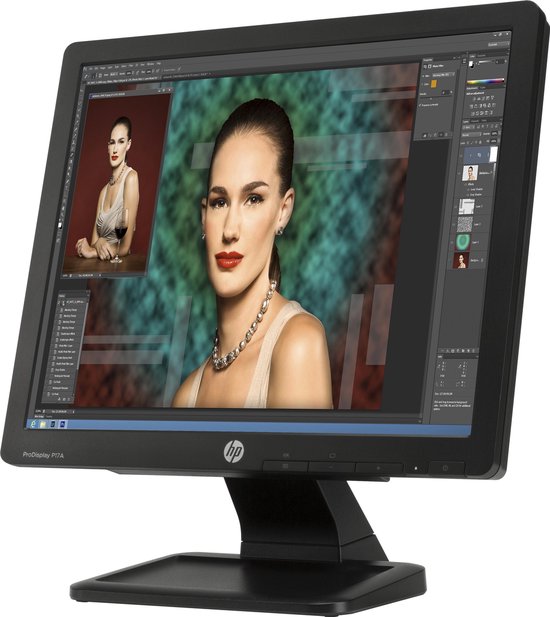 HP ProDisplay P17A - Monitor | bol.com