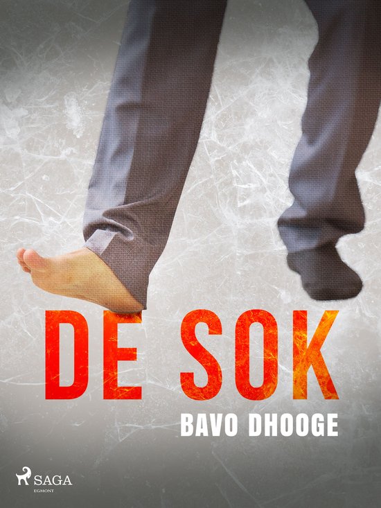 De sok (ebook), Bavo Dhooge | 9788726953527 | Boeken | bol