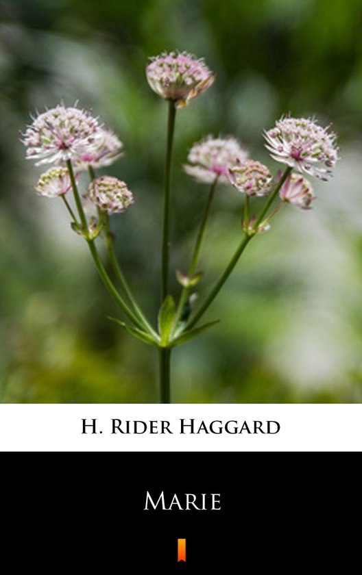 Marie (ebook), H. Rider Haggard | 9788381624022 | Boeken | bol.com