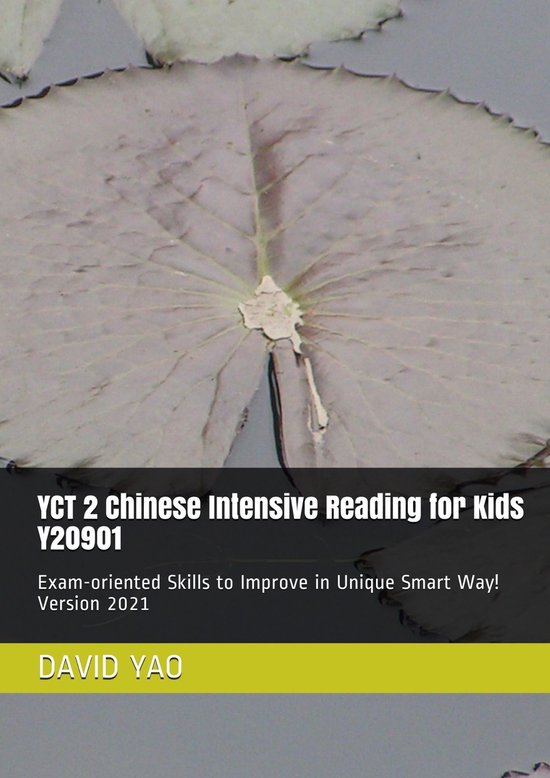 YCT - YCT 2 Chinese Intensive Reading for Kids Y20901 新中小学生汉语考试 (ebook ...