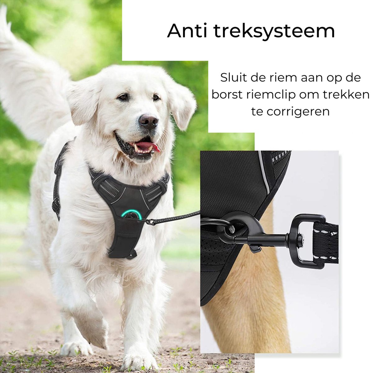 ACE Pets Easy Walk Hondentuig - Reflecterend Hondenharnas - Anti Trek Y Tuig Hond -... | bol.com