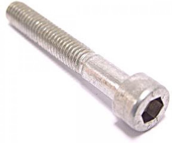 Inbusbout M6 x 50 Bofix RVS (12 stuks) | bol.com