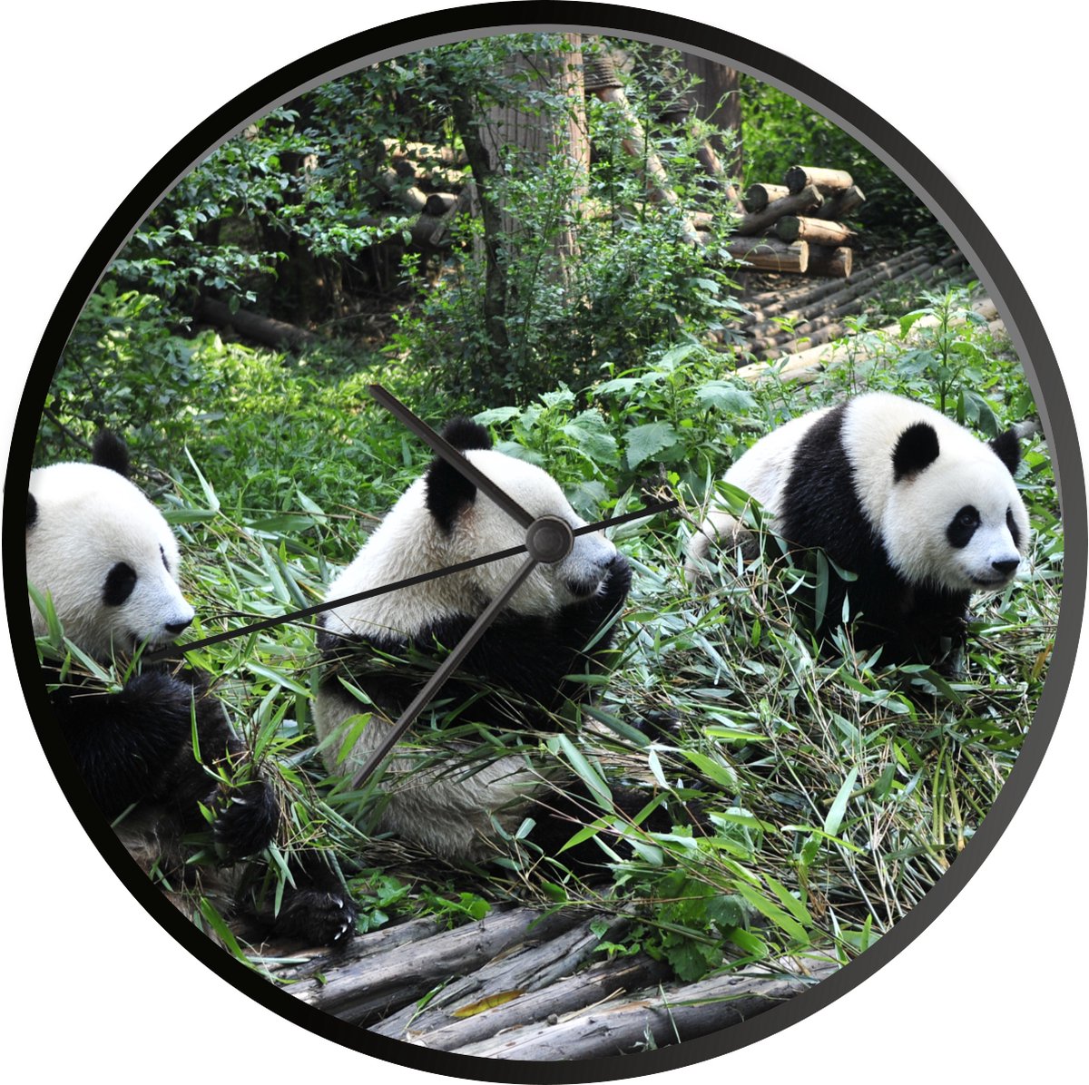 Klok - Ø 30 cm - Panda - Natuur - Bamboe - Zwart - Wandklok ...