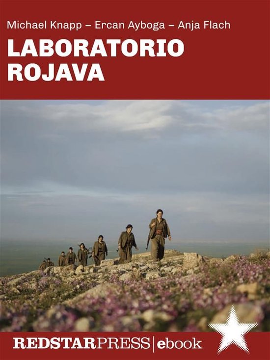 Laboratorio Rojava (ebook), Michael Knapp | 9788867183241 | Boeken | bol