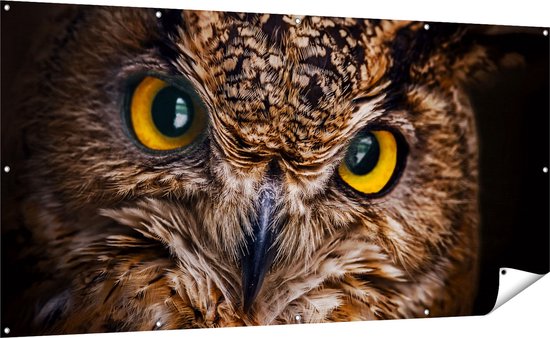Gards Tuinposter Uilenkop met Gele Ogen - Uil - 200x100 cm - Tuindoek ...