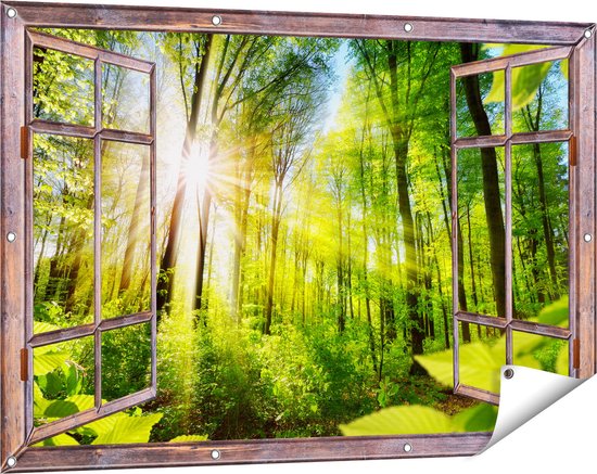 Gards Affiche jardin Route transparente entourée d' Arbres dans la ...