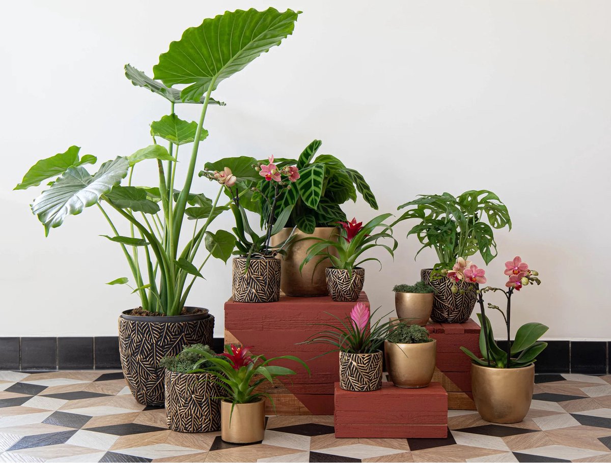 Mega Collections Cache-pot/pot de fleur - céramique - gris anthracite ...