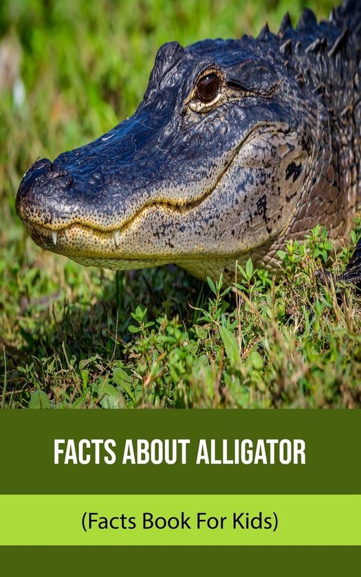 Facts About Alligator (Facts Book For Kids) (ebook), Geneva Linus ...