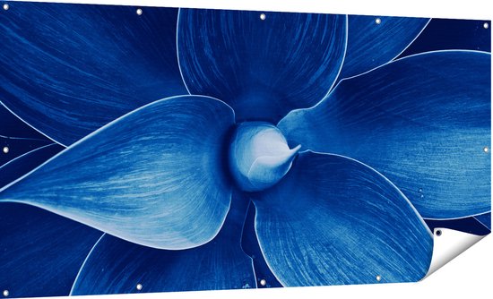 Gards Tuinposter Blauwe Agave Plant - Bloem - 180x90 cm - Tuindoek - Tuindecoratie -... | bol