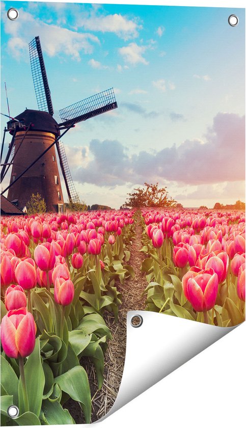 Gards Tuinposter Roze Tulpen Bloemenveld - met Windmolen - 40x60 cm - Tuindoek -... | bol
