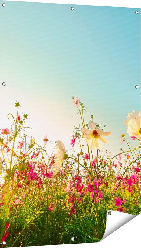 Gards Tuinposter Kosmos Bloemenveld met een Opkomende Zon - 80x120 cm - Tuindoek -... | bol.com
