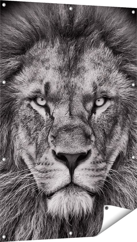 Gards Tuinposter - 80x120 cm - Tuindoek - Tuindecoratie - Wanddecoratie buiten -... | bol