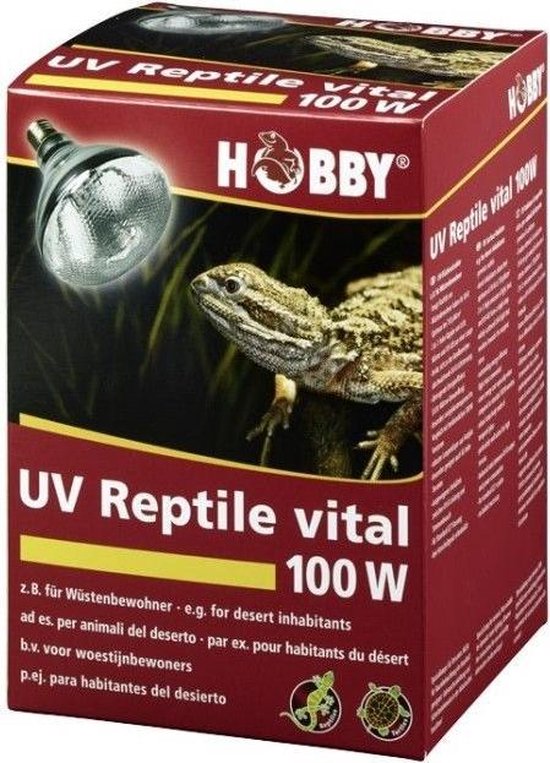 Hobby Terrano UV-Reptile Vital Desert 100W | bol