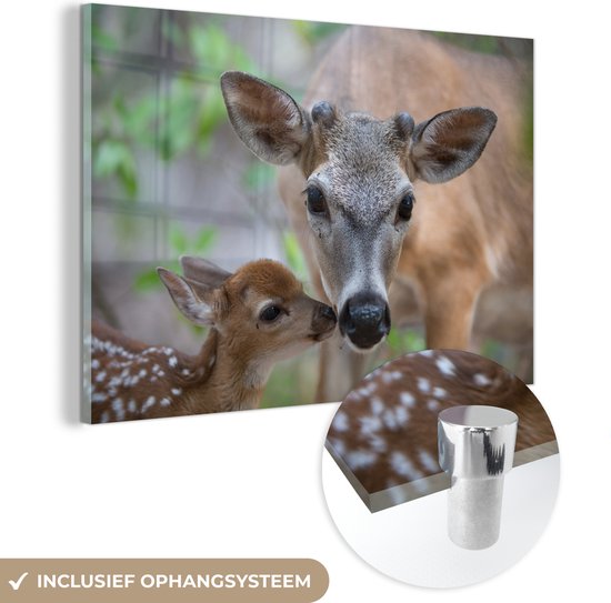 MuchoWow® Glasschilderij 30x20 cm - Schilderij glas - Teder moment ...