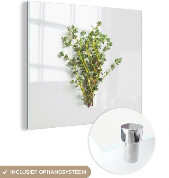 MuchoWow® Glasschilderij 90x90 cm - Schilderij acrylglas - Bosje van ...
