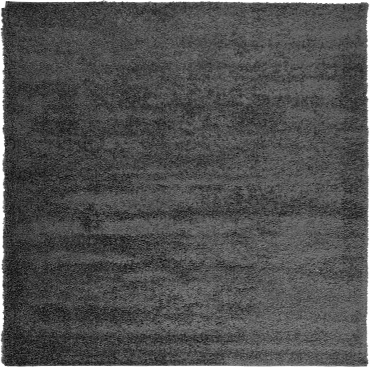 vidaXL-Vloerkleed-shaggy-hoogpolig-modern-240x240-cm-antraciet | bol