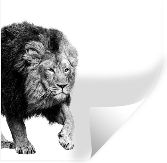 Muurstickers - Sticker Folie - Leeuw - Dieren - Zwart - Wit - 80x80 cm - Plakfolie -... | bol