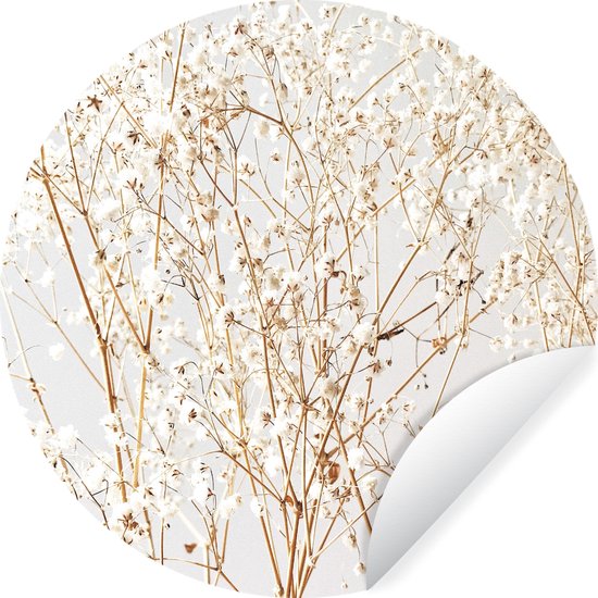 WallCircle - Muurstickers - Behangcirkel - Natuur - Takken - Bloemen - 50x50 cm -... | bol