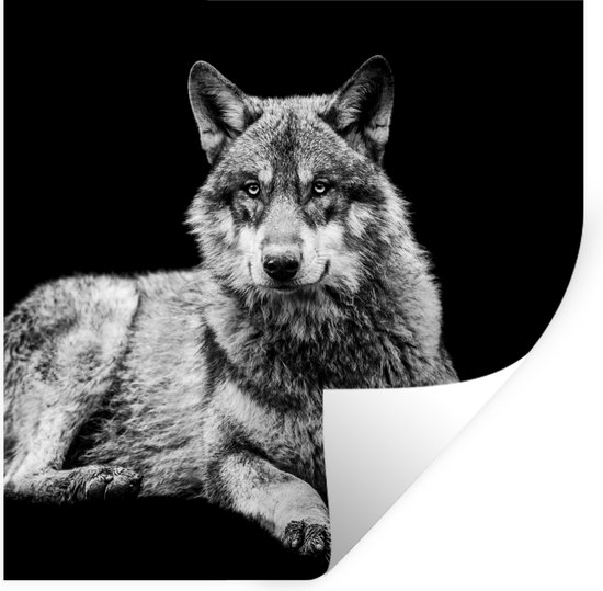 Muurstickers - Sticker Folie - Wilde dieren - Wolf - Zwart - Wit - 120x120 cm -... | bol